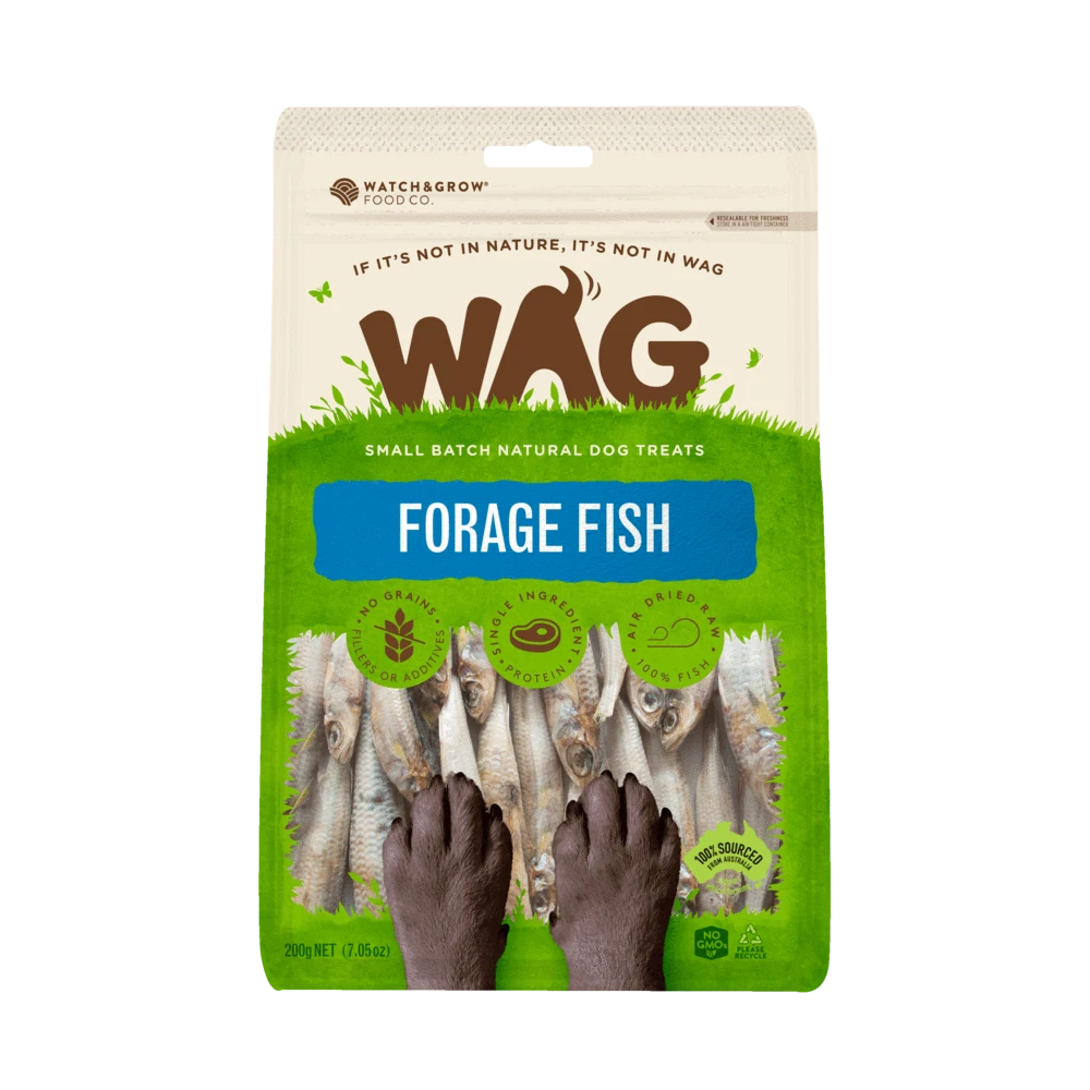 WAG - Forage Fish – Petizen